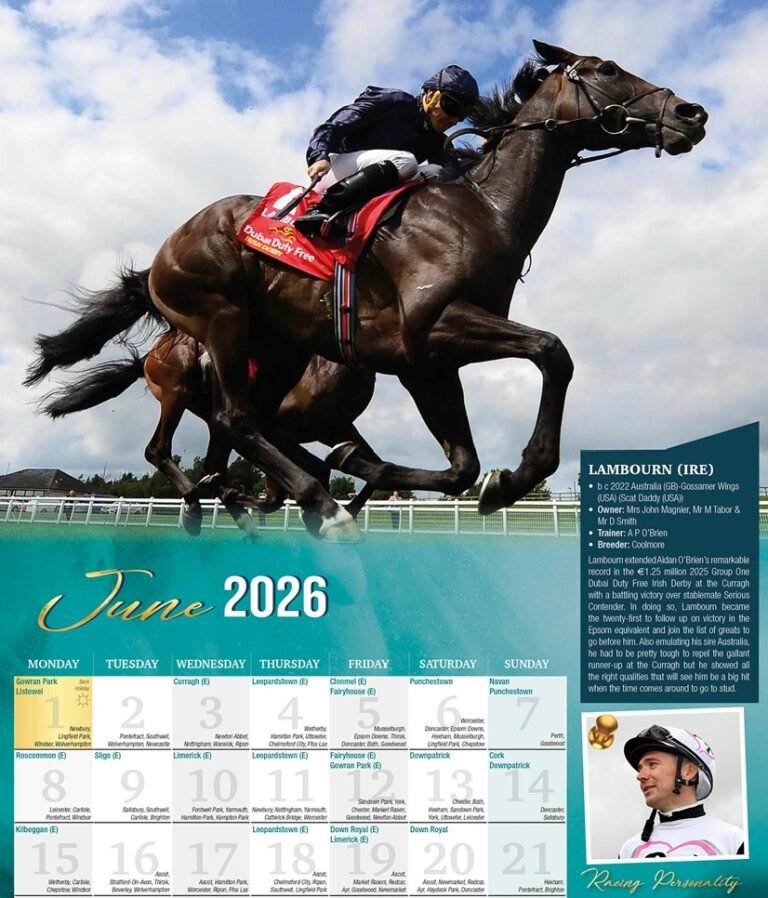 Irish Racing Calendar 2026 – A Christmas classic for Racing Fans ...